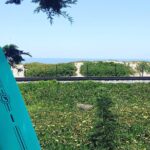 Private Surf Lesson in North San Diego - Who Will Love This Experience?