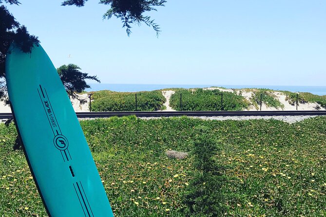 Private Surf Lesson in North San Diego - Who Will Love This Experience?