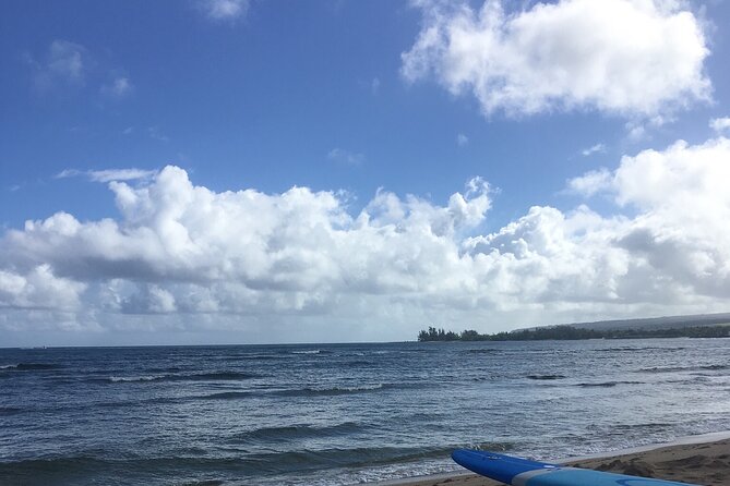 Private Surfing Lessons on the North Shore of Oahu - Is This Tour Worth It?