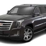 Private SUV Cadillac to Turtle Bay - Key Points