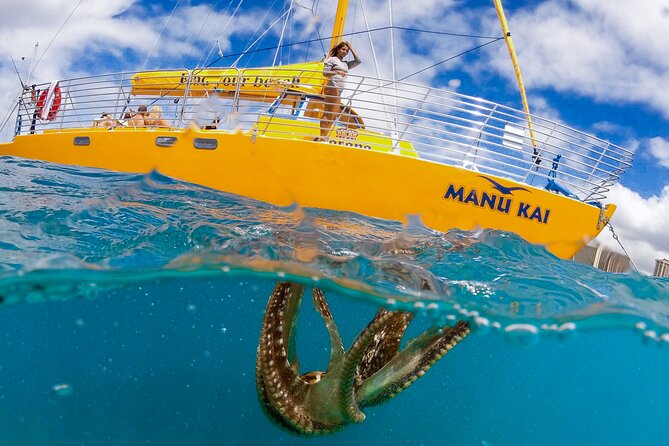 Private Swim and Sail Charter (Kewalo Harbor) - Key Points