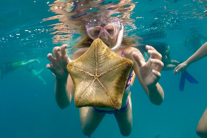 Private Swim and Sail Charter (Kewalo Harbor) - Who Will Love This Tour?