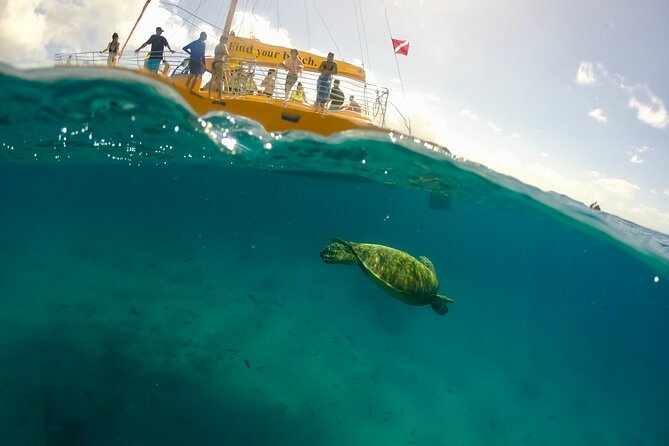 Private Swim and Sail Charter (Kewalo Harbor) - FAQ