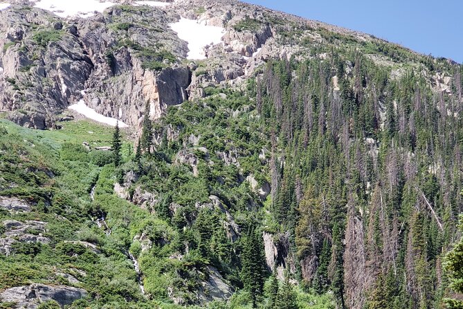 Private Three Hour Afternoon Custom Tour of Rocky Mountain National Park - Who Would Love This Tour?