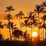 Private Tiki Bar Sunset Cruise in Honolulu - What Makes This Tour Special?