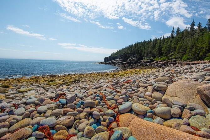 Private Tour Acadia National Park, Fjord - Final Thoughts
