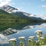 Private Tour: Anchorage 3-Hour Tour - Transport and Duration: Why It Matters