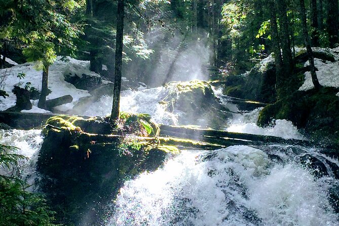 Private Tour at The Hood-Columbia Loop: Timberline, Orchards, and Waterfalls - An In-Depth Look at the Private Hood-Columbia Loop Tour