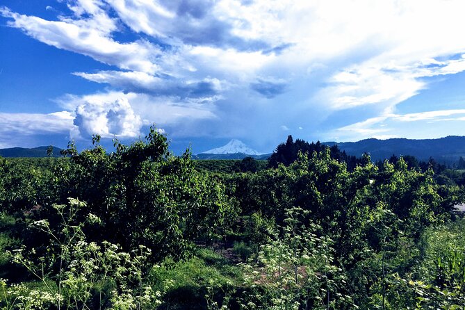 Private Tour at The Hood-Columbia Loop: Timberline, Orchards, and Waterfalls - Who Will Love This Tour?