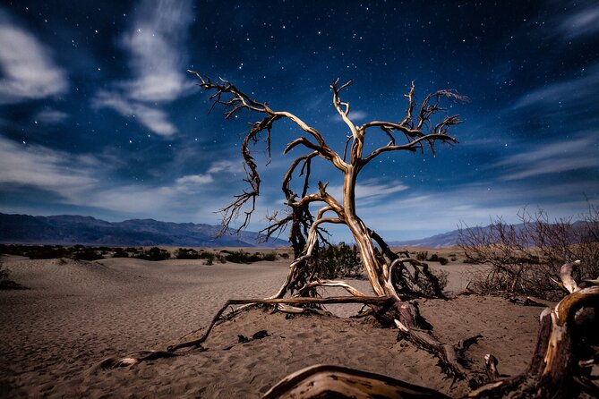 Private Tour Death Valley National Park from Las Vegas - Who Will Love This Tour?