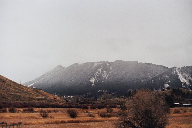 Private Tour Grand Teton National Park - Who Is This Tour Best Suited For?