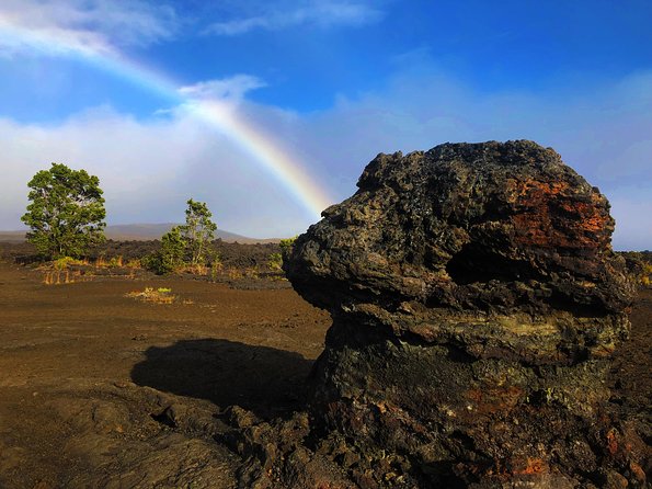 Private Tour: Hawaii Volcanoes National Park Eco Tour - Who Will Love This Tour?