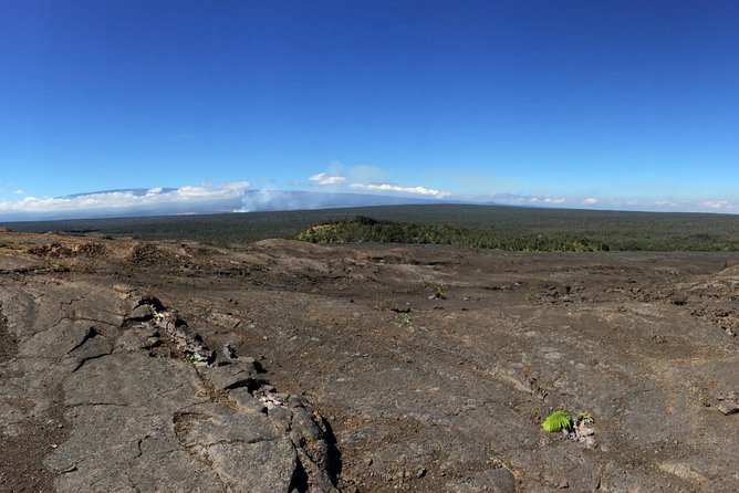 Private Tour: Hawaii Volcanoes National Park Eco Tour - The Sum Up