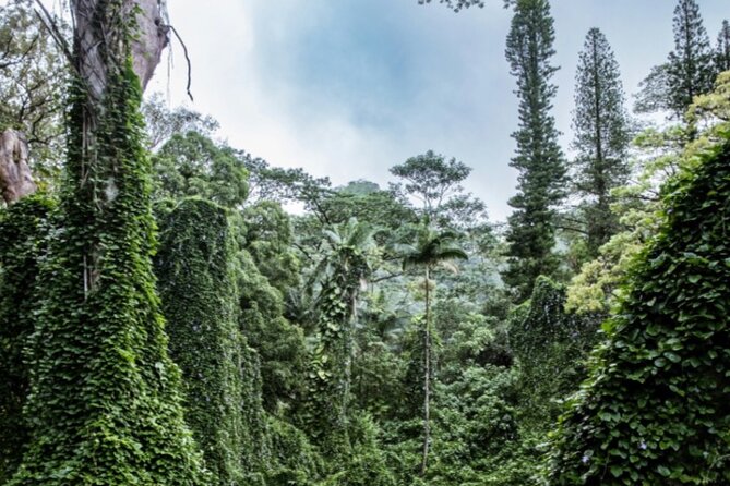 PRIVATE TOUR-Hike Diamond Head & Hawaiian Waterfall - The Itinerary Breakdown