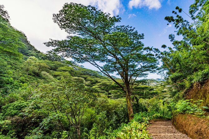 PRIVATE TOUR-Hike Diamond Head & Hawaiian Waterfall - Possible Drawbacks or Considerations