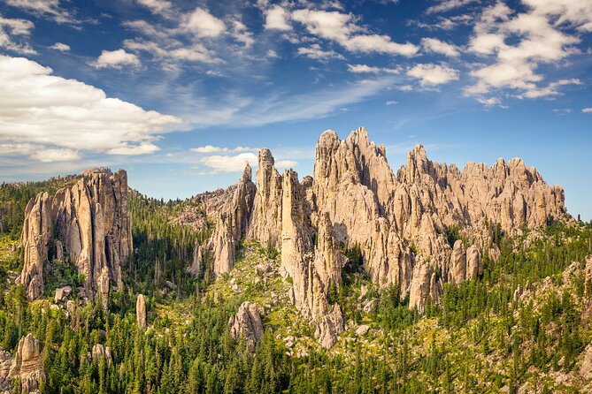 Private Tour Mt Rushmore Crazy Horse and Custer State Park - Who Should Consider This Tour?