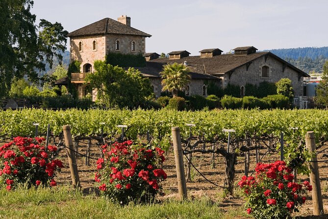 Private Tour: Napa and Sonoma Wine Country - The Experience from Past Travelers’ Perspectives