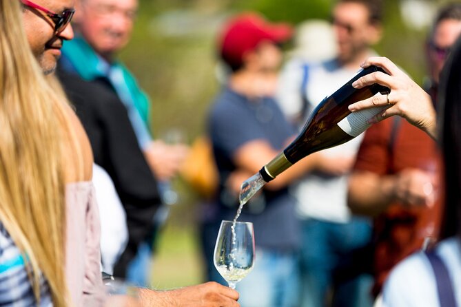 Private Tour: Napa and Sonoma Wine Country - Pricing and Value Analysis