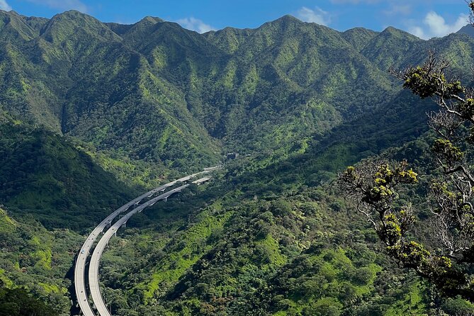 Private Tour Oahu-Full or Half Day-Customizable-Circle Island - Why This Tour Offers Great Value