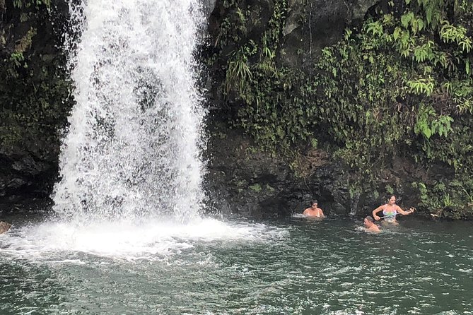 Private Tour : OAHU, MAUI, KAUAI or BIG ISLAND : Pick any Island - Who Is This Tour Best For?