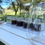 Private Tour of California's Central Coast (San Luis Obispo-Paso Robles-Cambria) - Frequently Asked Questions