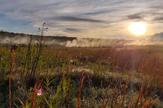 Private Tour of Hawaii Volcanoes National Park - Final Thoughts