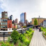 Private Tour of High Line, Chelsea, Hudson Yards and Edge - The Experience in Detail: What to Expect