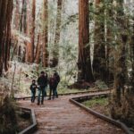 Private Tour of John Muir Redwoods and Sausalito - Real Experiences from Past Travelers