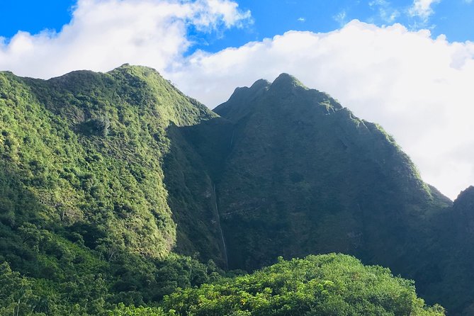 Private Tour of Maui, the Valley Isle - Who is This Tour Best For?