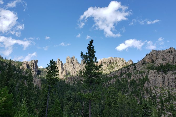 Private Tour of Mount Rushmore, Crazy Horse and Custer State Park - Flexibility and Customization