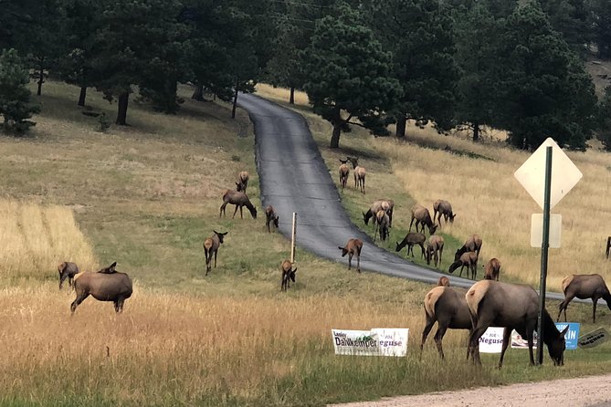 Private tour of Red Rocks, Echo Lake, Mount Evans and Idaho Springs. - FAQ
