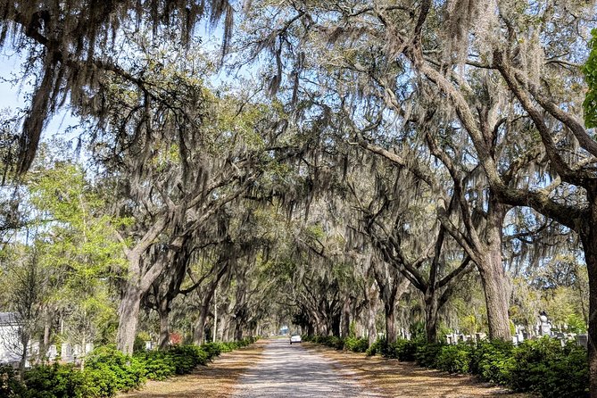 Private Tour of Savannah's Historic/Victorian Districts & Bonaventure Cemetery - Why This Tour Offers Good Value