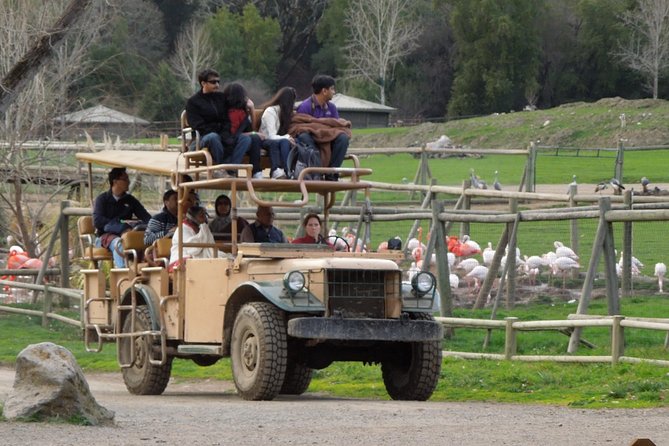 Private Tour of Sonoma Wild Safari Animal Park and Sonoma Redwoods - The Itinerary in Detail
