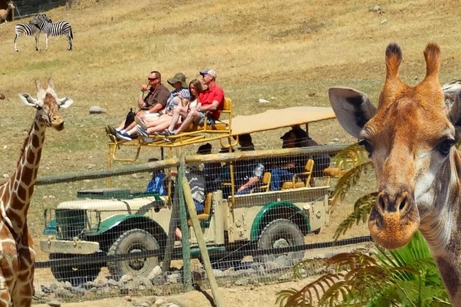 Private Tour of Sonoma Wild Safari Animal Park and Sonoma Redwoods - Final Thoughts