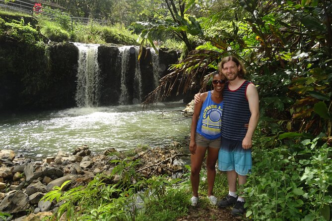 Private Tour on Maui with Luxury Mercedes S-Class - Why Choose a Private Mercedes S-Class Tour in Maui?