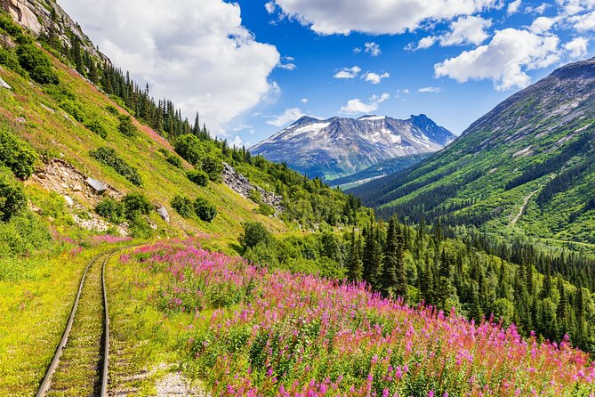 Private Tour Skagway City & Summit - Key Points
