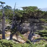 Private Tour to Monterey, Carmel, 17-Mile Drive, Pebble Beach - The Value in This Experience