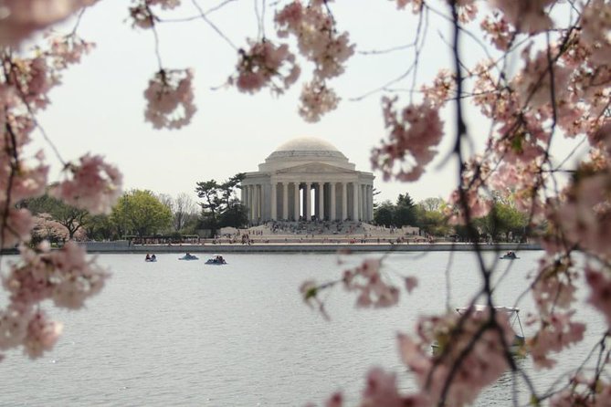 Private Tour to see the Monuments and Memorials in Washington DC - Review Highlights: Why Travelers Love This Tour