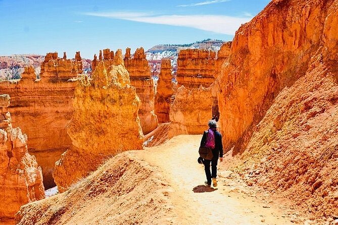 Private Tour to Zion National Park from Las Vegas - Whats Included and What to Consider
