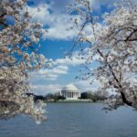PRIVATE TOUR Washington DC: Private Tour with Luxury SUV 6h - A Deep Dive into the Experience