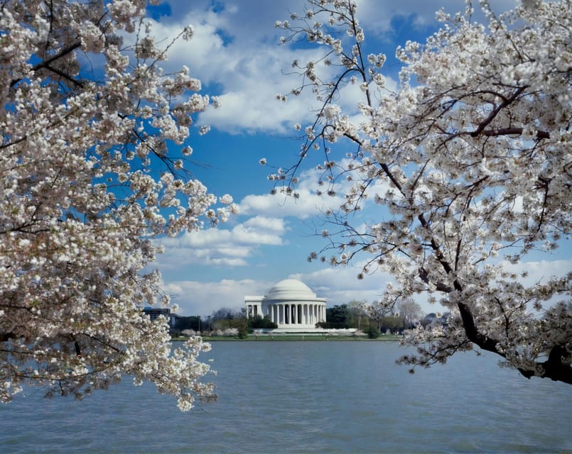 PRIVATE TOUR Washington DC: Private Tour with Luxury SUV 6h - A Deep Dive into the Experience