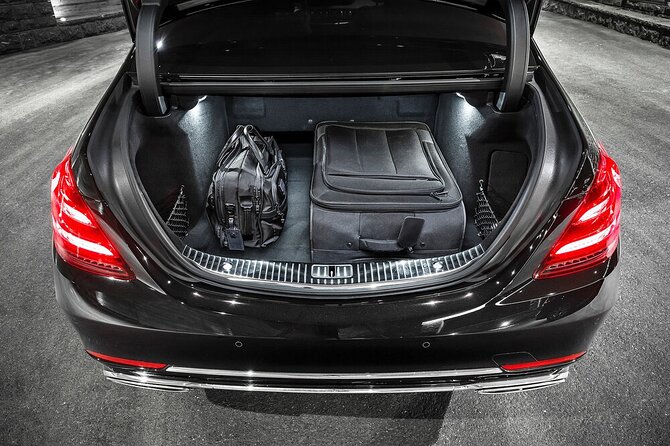 Private Transfer Chicago Airport to Chicago by Luxury Car or SUV - Who Is This Service Best Suited For?