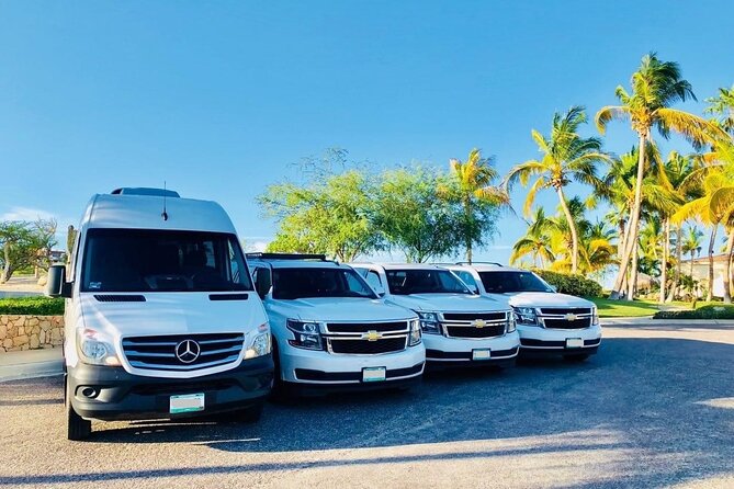 Private Transfer from Hilo Cruise Port to Kona Airport (KOA) - Real Insights from Travelers