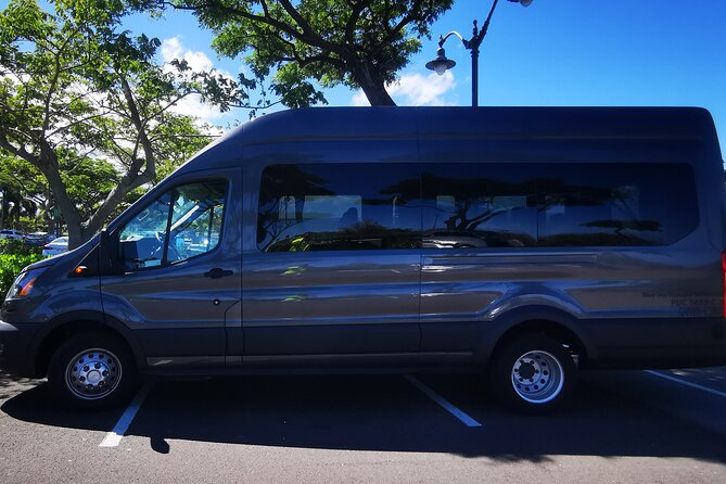 Private Transfer From Kona International Airport to Hotels in Waikoloa & Waimea - Arriving in Kona: What to Expect