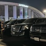 Private Transfer From LAX with Professional Chauffeur - Why Choose This Service?