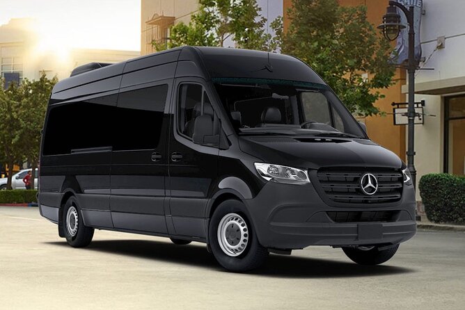Private Transfer from Orlando Airport To Port Canaveral Cruise Ship and Hotel - What the Experience Looks Like