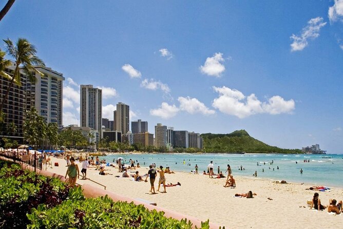 Private Transfer: Honolulu Airport HNL to Honolulu in Sedan Car - Introduction