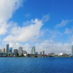Private Transfer in SUV Orlando Airport (MCO) to Orlando Hotels - Why Choose This Transfer?
