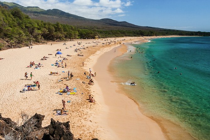 Private Transfer Kahului Airport OGG to Maui Kihei Lahaina Wailea - The Sum Up: Who Should Choose This Private Transfer?