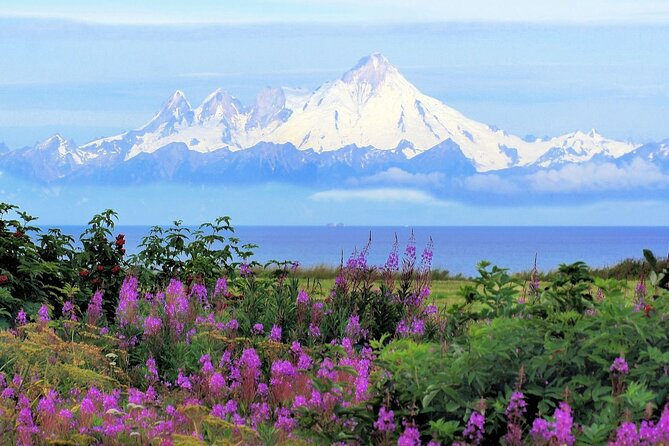 Private Transfer, Seward Cruise ship to Anchorage - Who Should Consider This Transfer?